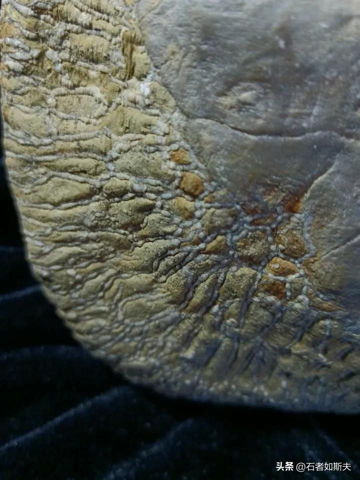 Heroes from the Rock (6) Xianli - iNEWS