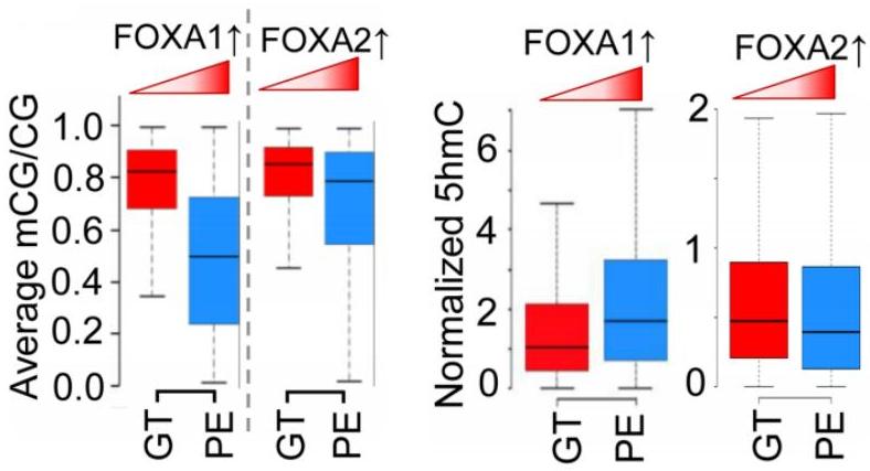 Study on the application of ERGIC-53 circulating protein in secreting ...
