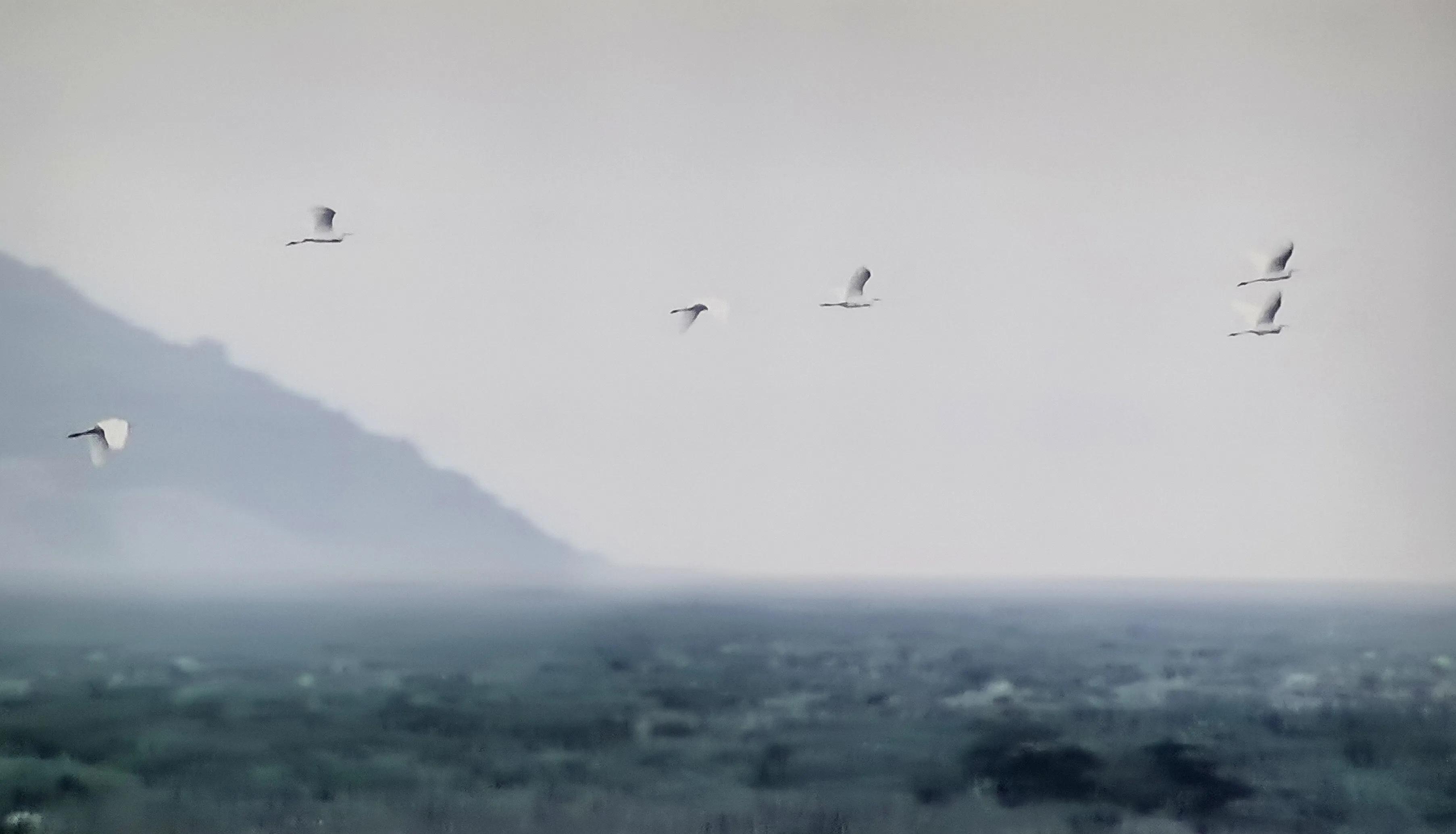 "Qi Huan Gong 10" Guan Zhong first made himself rich and prosperous ...