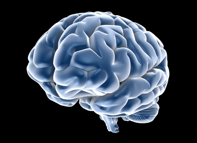 Forgotten memories: Why does the brain delete memories from before the ...