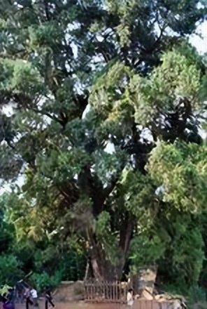 Thousands of years passed in the past, King Qin took Bashu with his ...