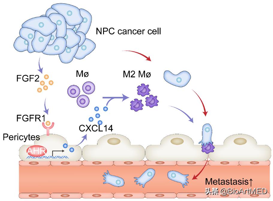 Kayoko Hosaka/Yang Yunlong/Nie Guohui cooperated to report a new ...