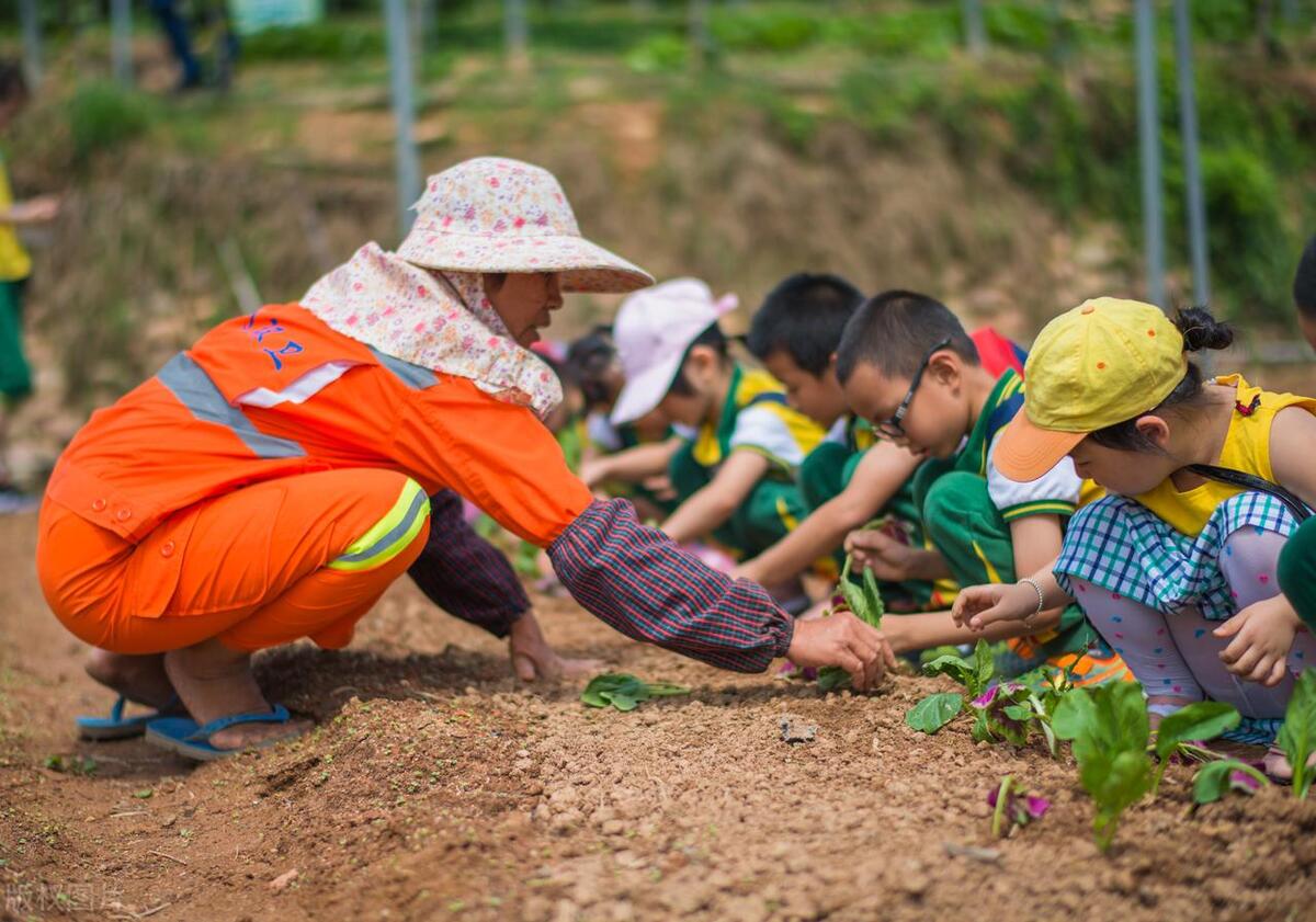 Exploring the Charm of Agritourism: A New Way to Experience Rural Life ...