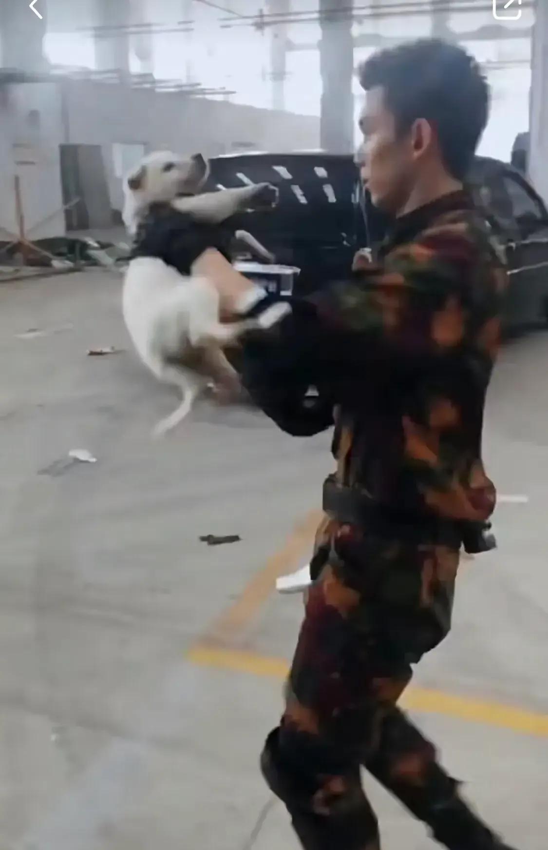 The story of Wu Lei and the stray dog Xiaobei - iNEWS