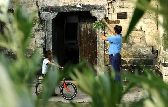 Why do we hang calamus on the Dragon Boat Festival?Is there anything to ...