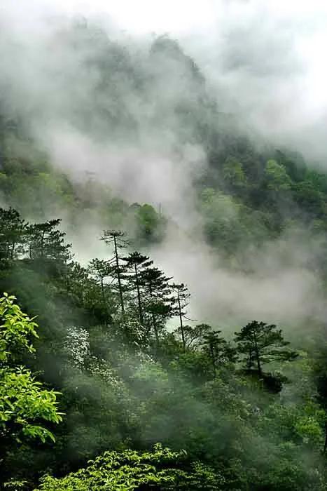 [Jiangxi Ciping (11——4)] - iNEWS