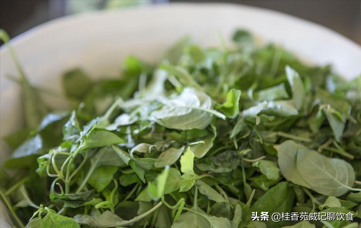 Eating in Ningxia: Introduction to Food Flavor (5), "Legacy of ...