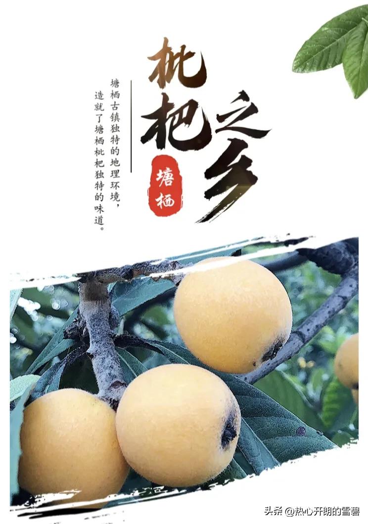 Chinese super fruit - iMedia