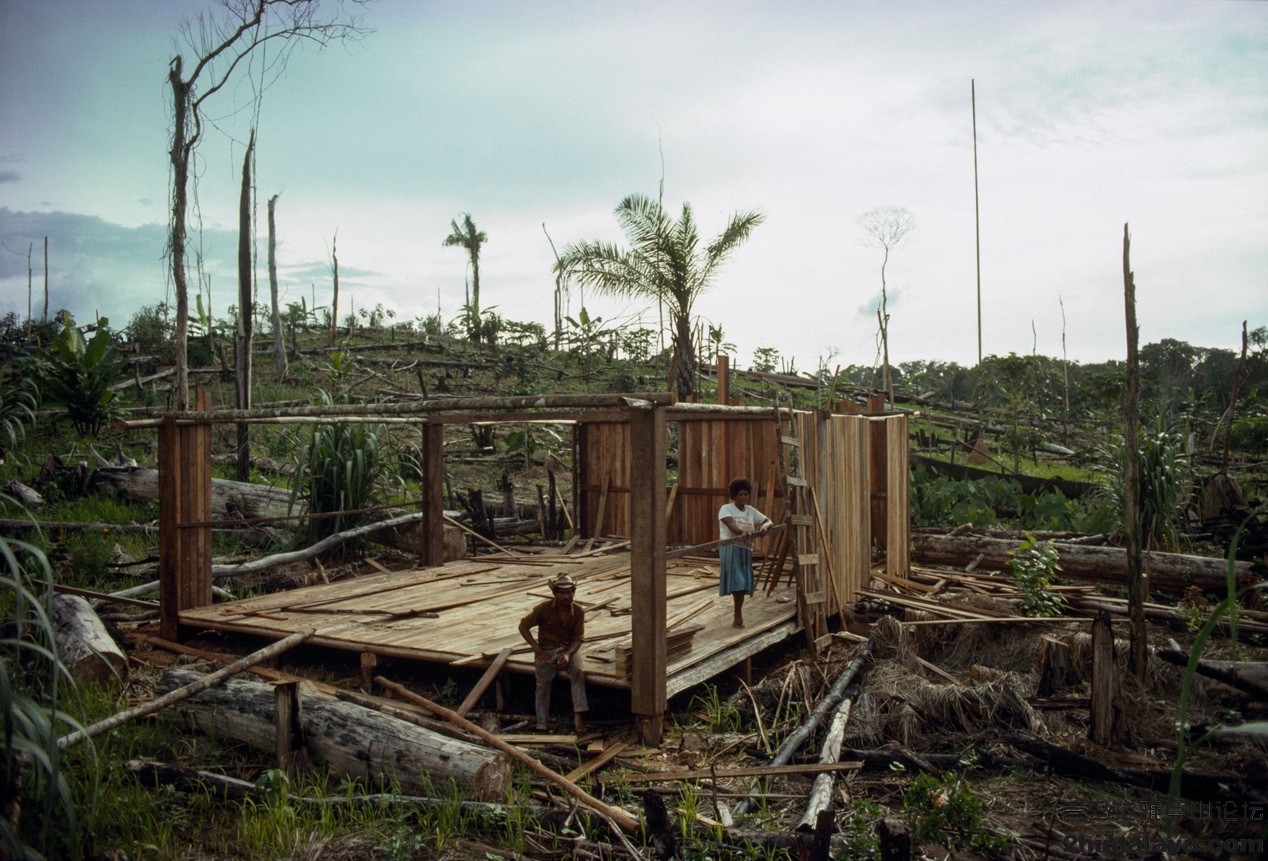 "Brazil" In the besieged Amazon rainforest, people take up cameras to ...