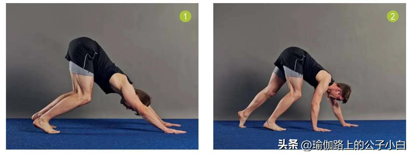 The practice of changing position of animal flow yoga - iNEWS