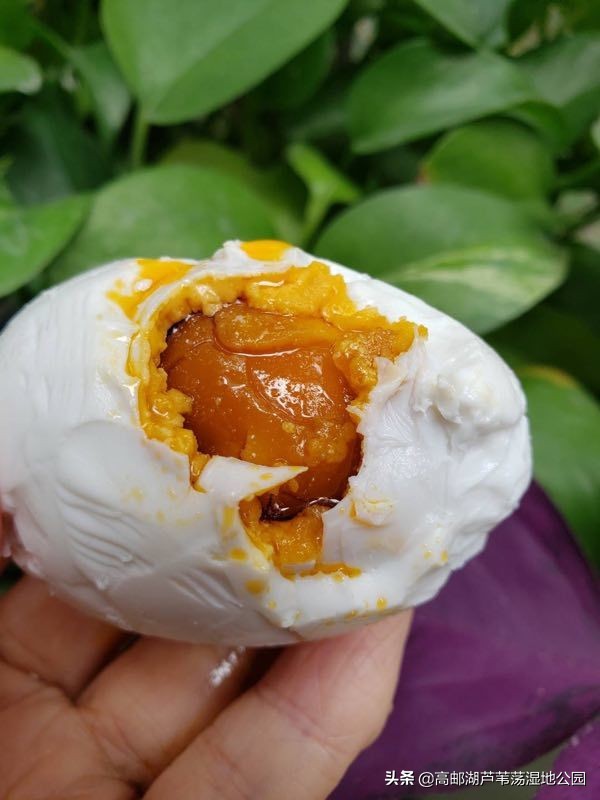 Salted duck eggs that flow oil with one chopstick!Authentic Gaoyou ...