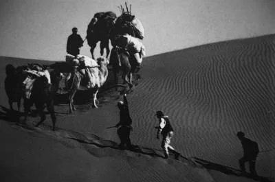 The unsolved mystery of the Mongolian death bug, ugly and mysterious ...