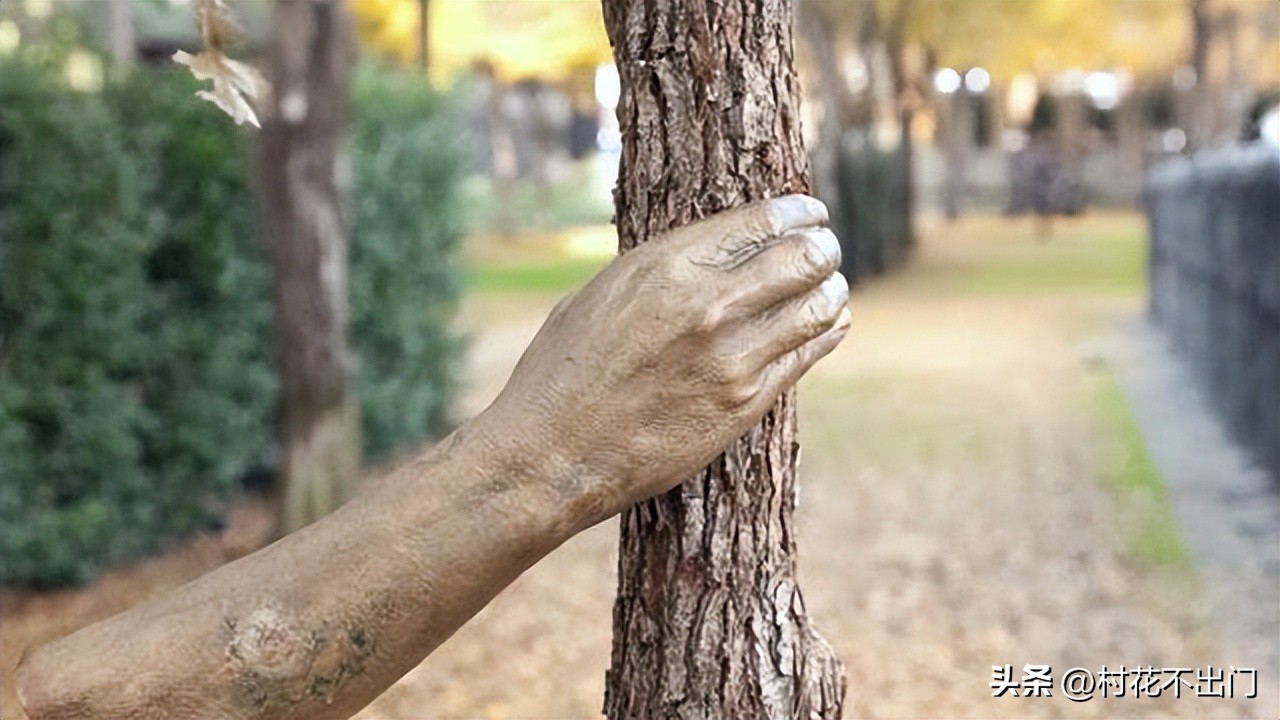 The world's most "lonely" hand, a tree for more than 50 years, what is ...