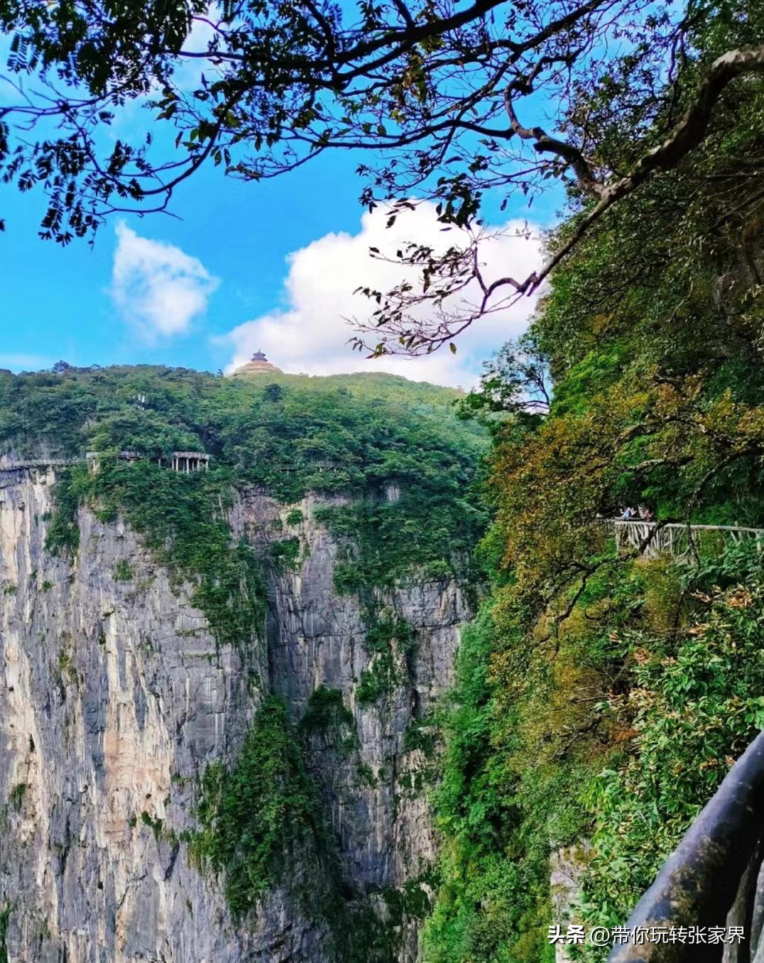 Zhangjiajie's 4 days and 3 nights travel strategy per capita 800 ...