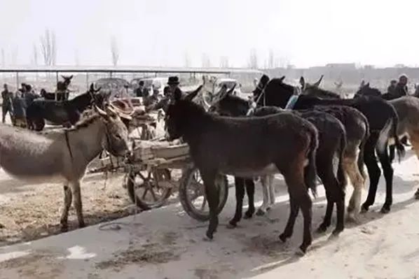 "Donkey Ba" in Shitang, a local delicacy achieved by ancient legends ...