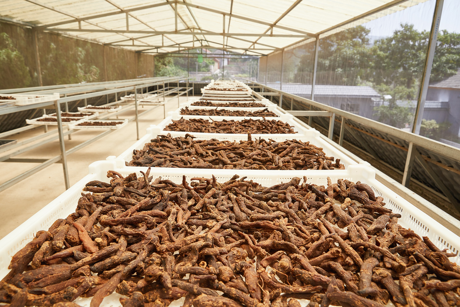 Nan'e Huangjing: This is the real taste of Taishan Huangjing - iMedia