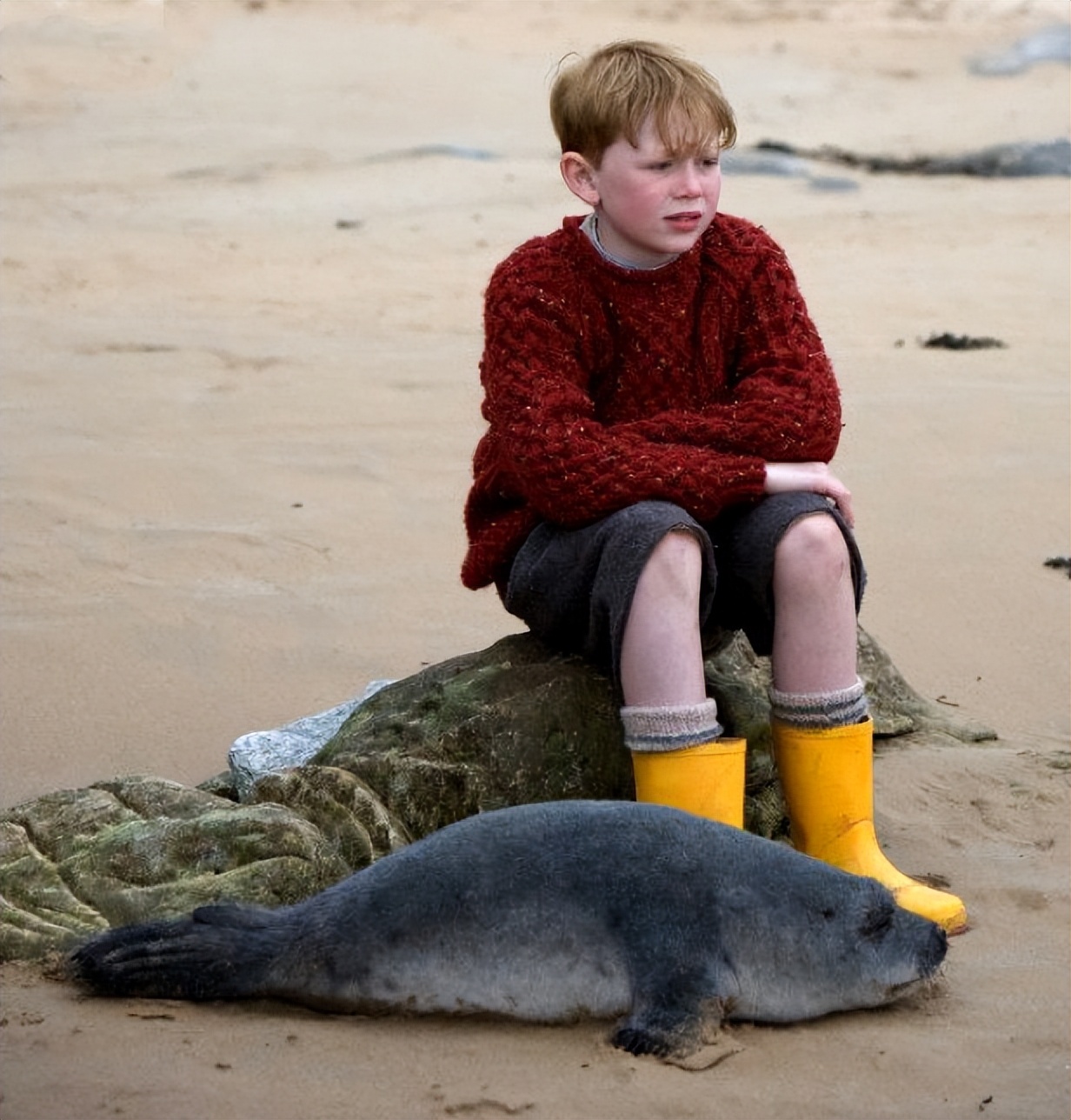 Douban 8.8! A healing film that doesn't lose to the Oscars! Embark on a ...