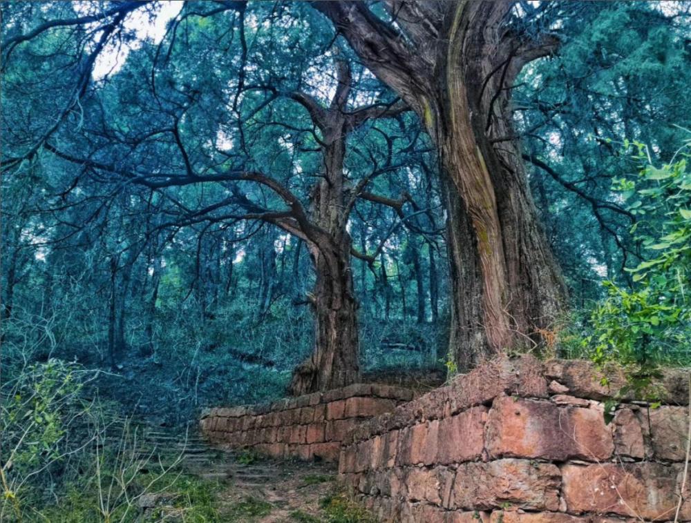 Jiange Shidonggou Huangbai ancient road rhyme is deep and fragrant - iNEWS