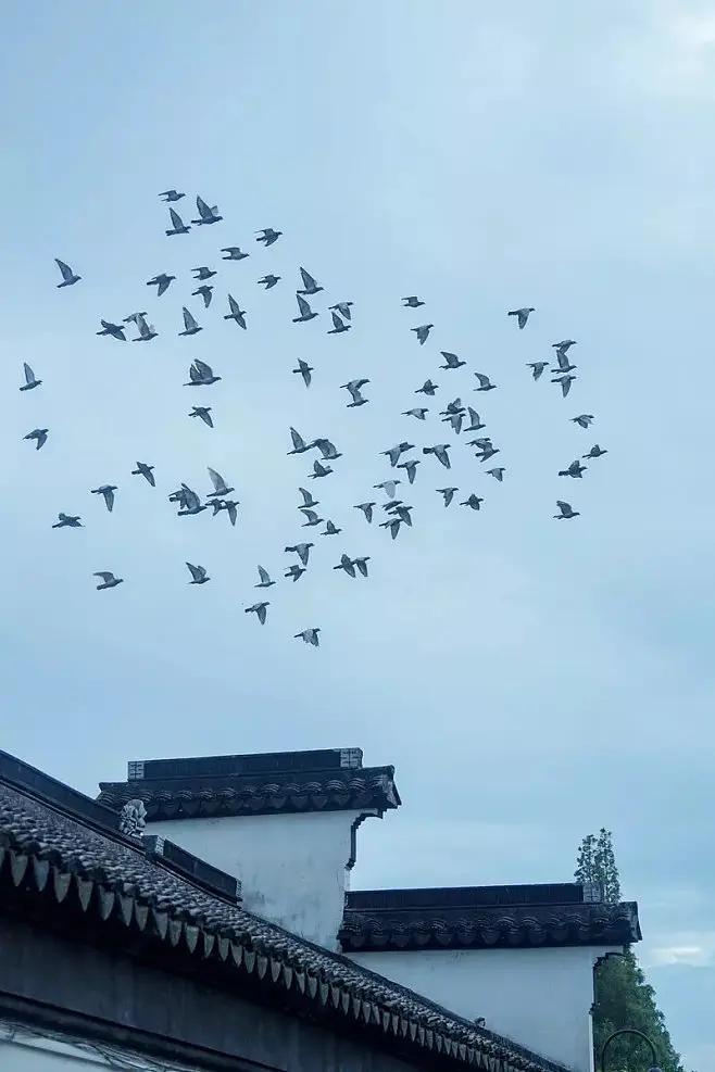 Fan Zhongyan: A poem "Su Muzhe" is full of nostalgia, and the literati ...