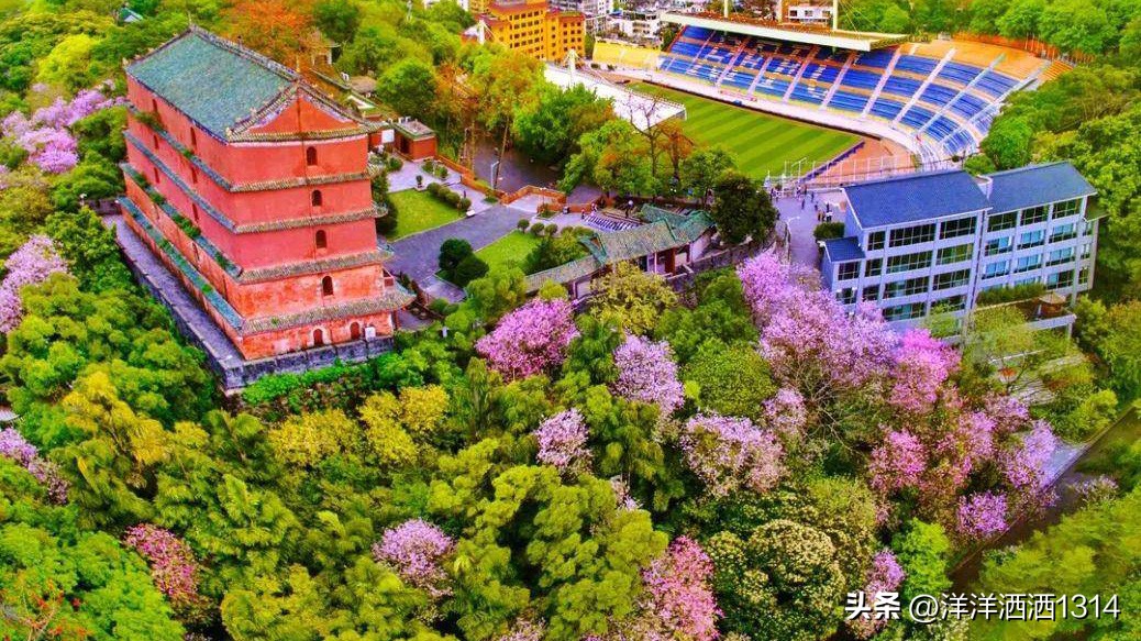 Spring in Guangzhou, enjoying the natural scenery, history and culture ...