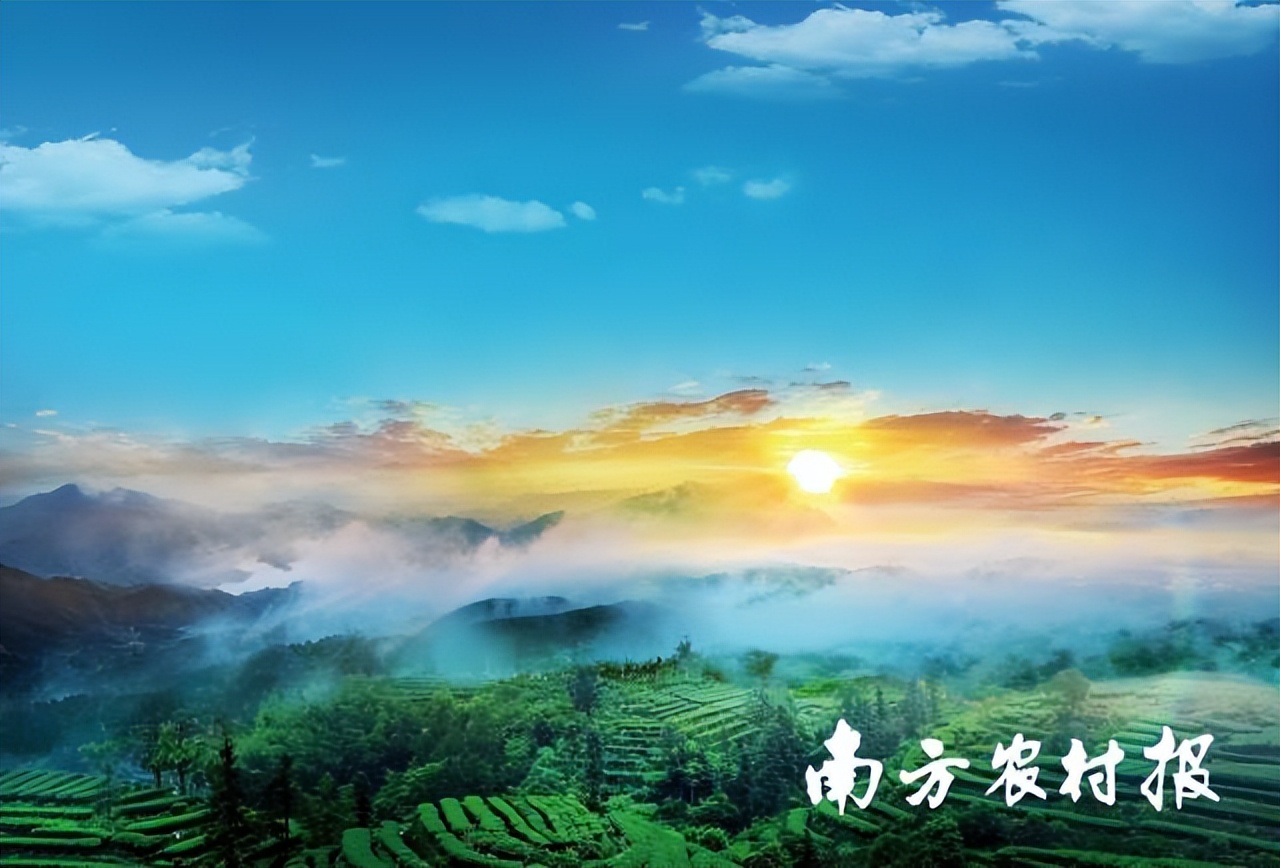 "China Natural Oxygen Bar" promises you! Breathe the fresh fragrance of ...