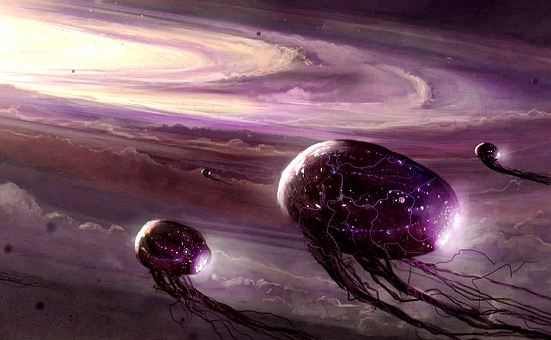 Before humans landed on the moon, did creatures go to the moon ...