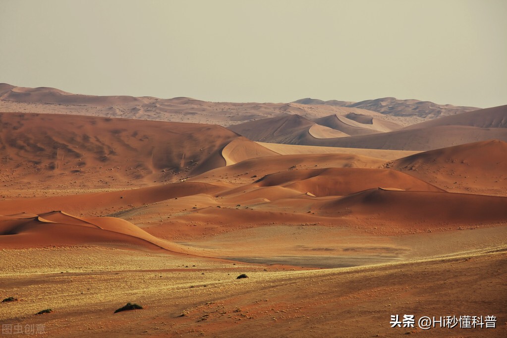 "Fox face" appeared after rain in Xinjiang desert!This fox is not ...