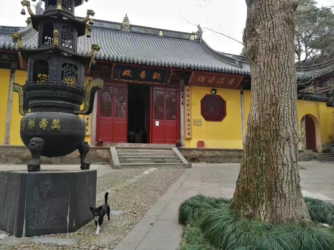 Climbing to Daochang Mountain, the thousand-year-old temple actually ...