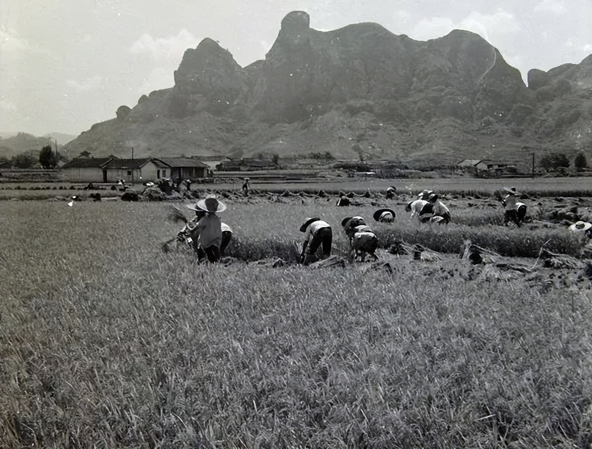 Shocking Scandal: Deputy National Tiger Chen Xitong, 30 Million Luxury ...