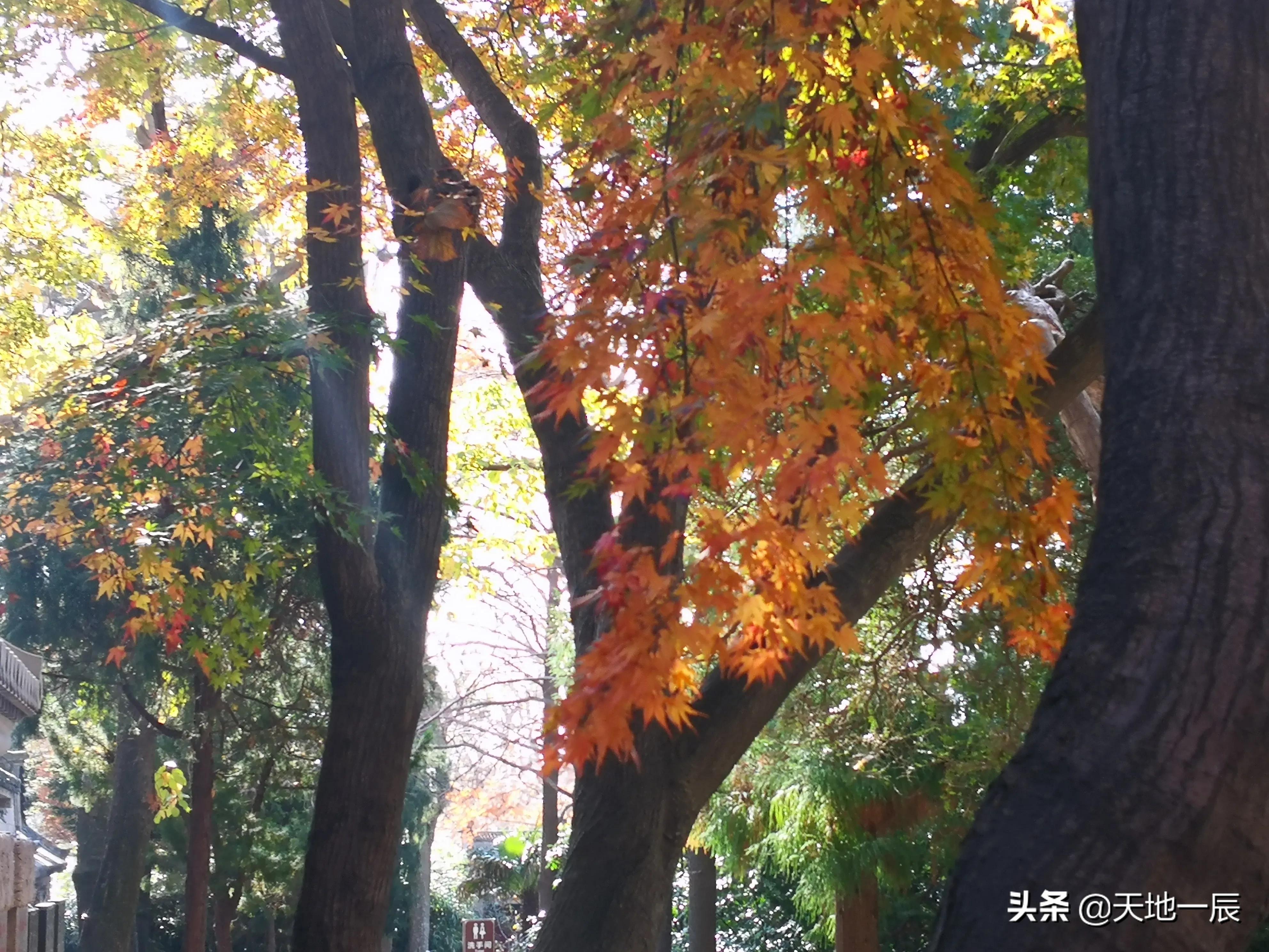 Liuyan Jueju Temple Jiangnan - iNEWS