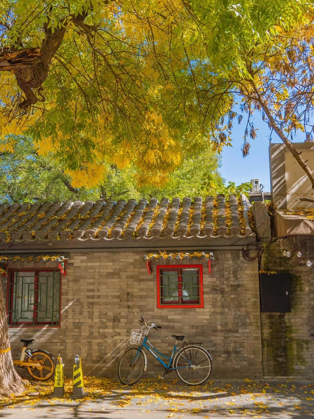 Beiluoguxiang finally ushered in new autumn clothes - iNEWS