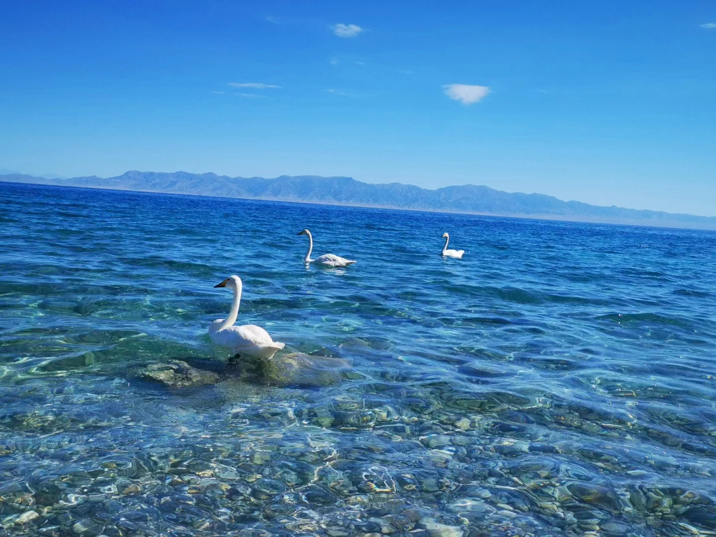 An anecdote that happened during Du Fu's tenure as Huazhou Sigong and ...