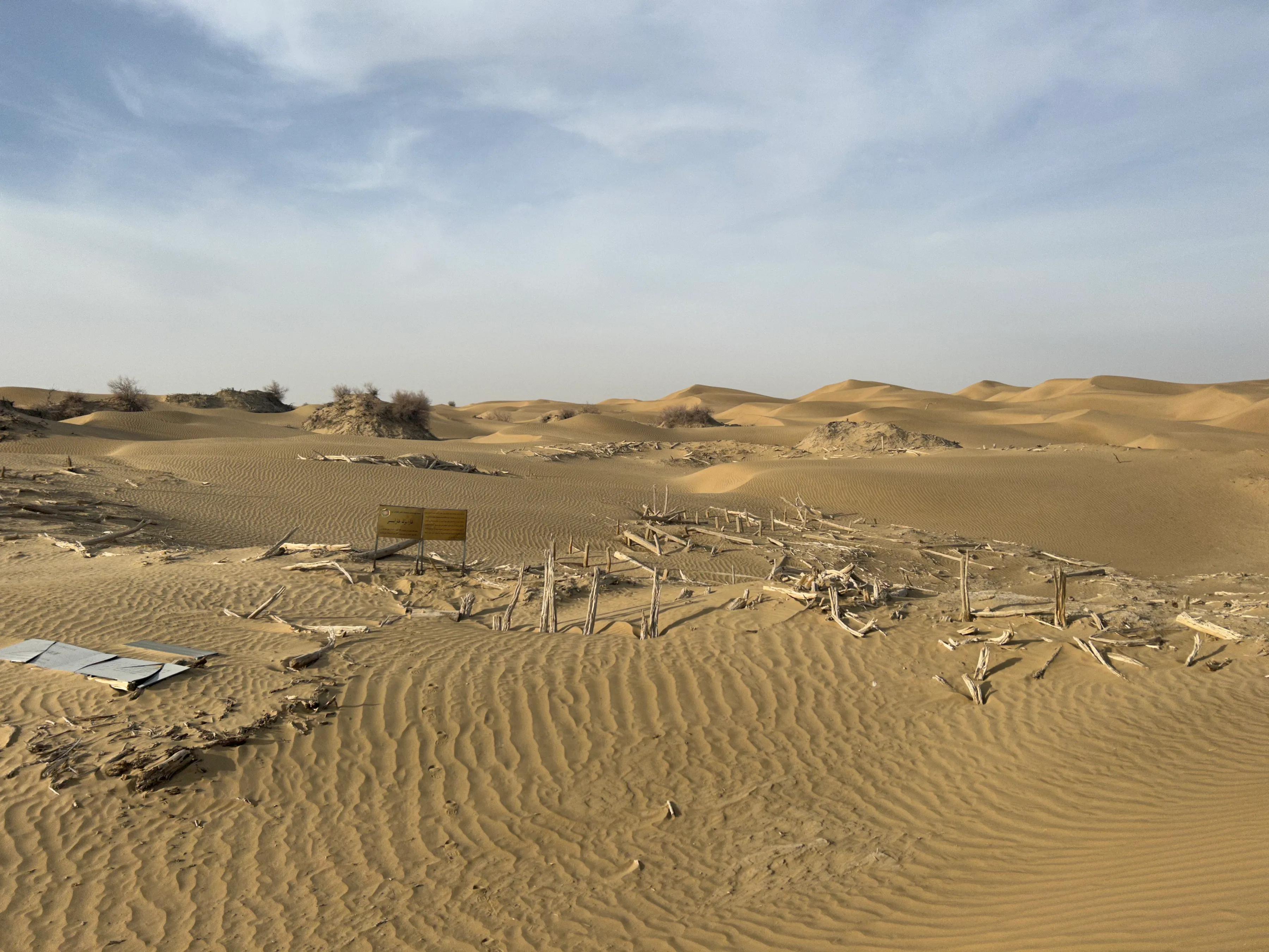 Some sharing about trekking through the Taklamakan Desert - iMedia