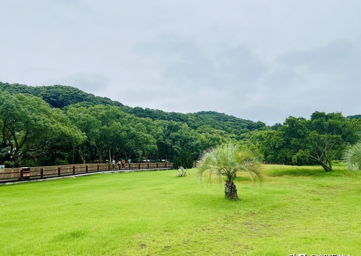 The porter told Li Shizhen's ancestral secret recipe - iMedia