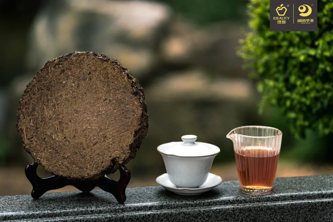 Qianliang tea flower roll tea - unique and unique craft - iNEWS
