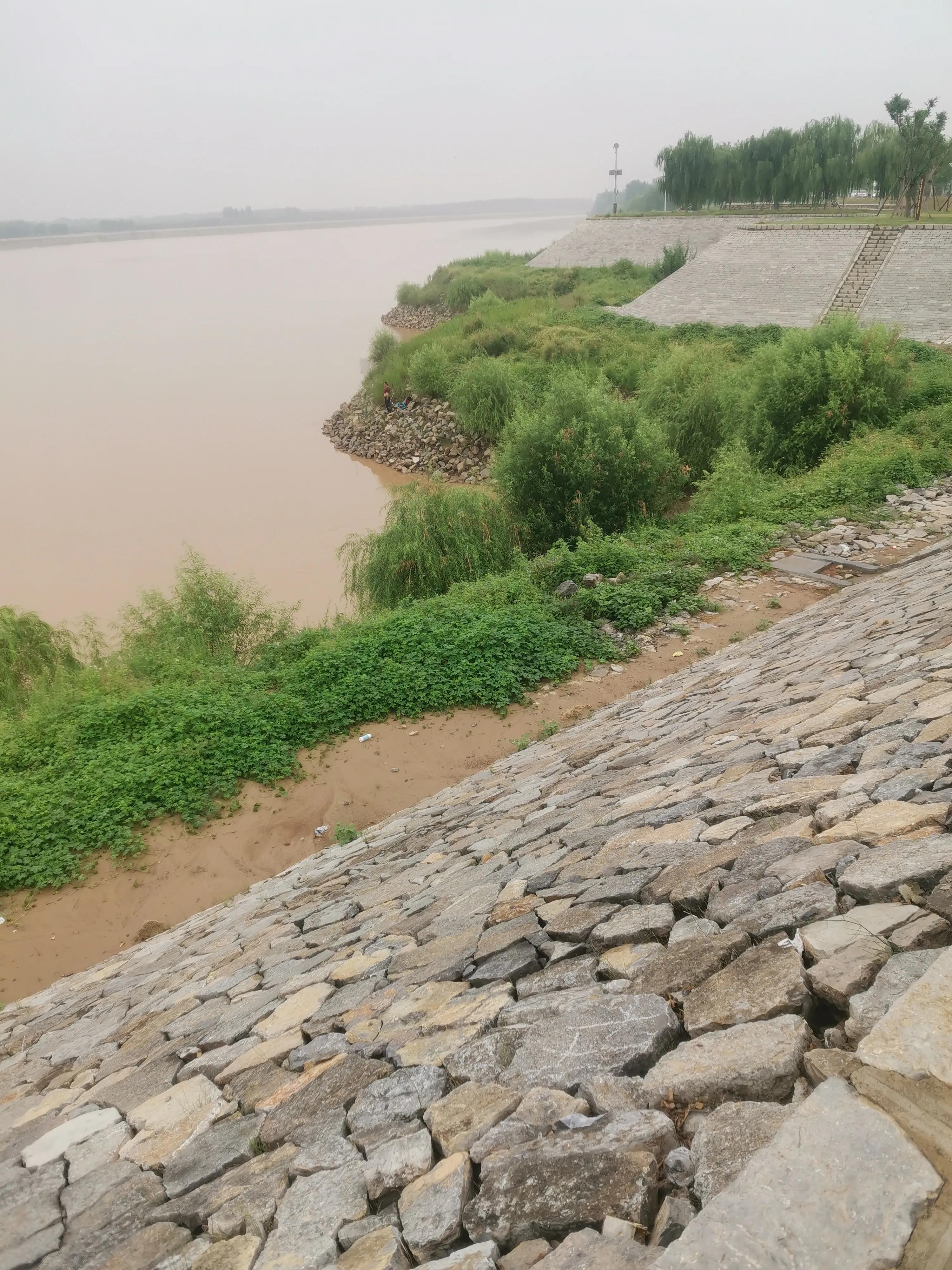 Horizontal Phi: Farewell to Coco Lee - iMedia