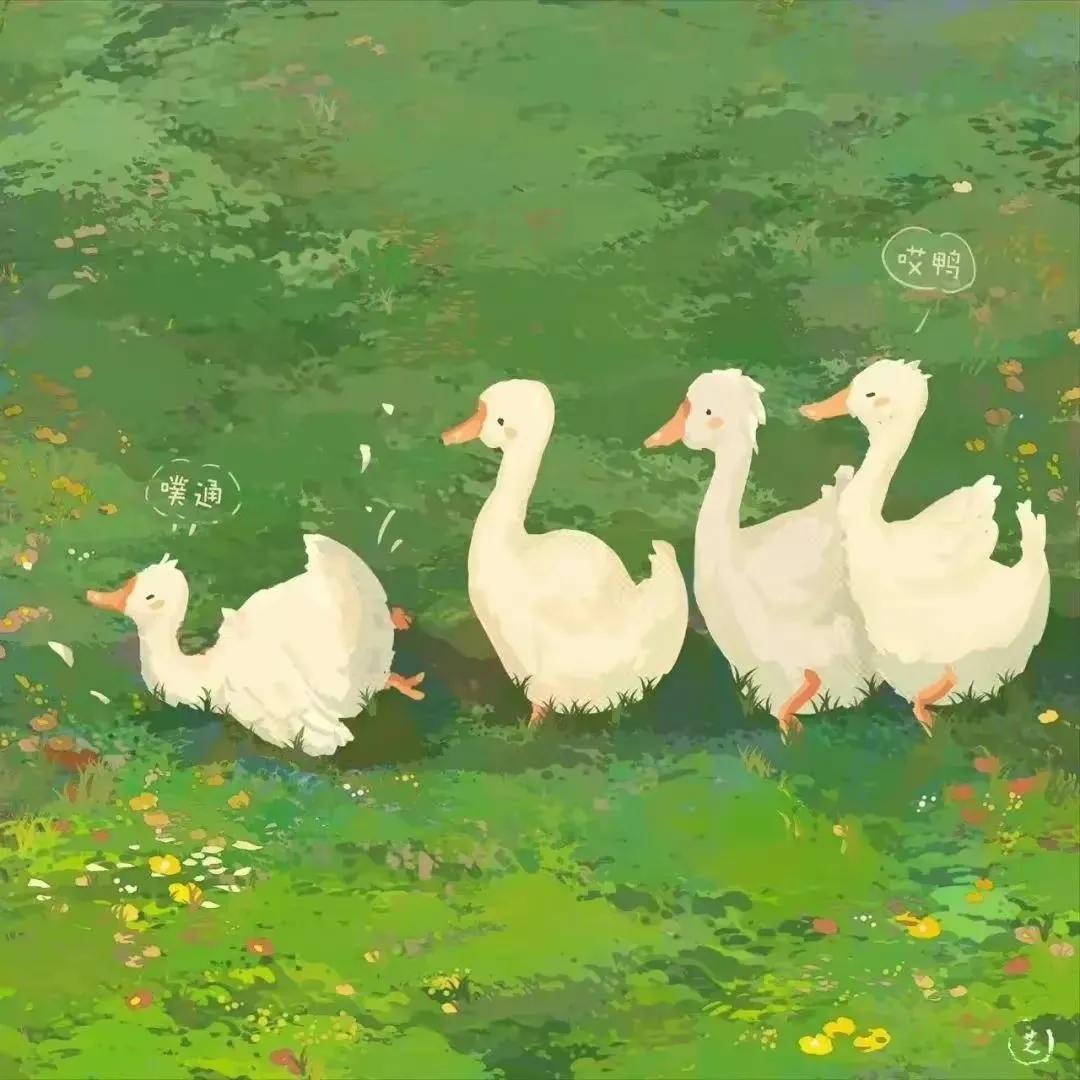 Shock! A year-long frozen chicken has come back to life! - iNEWS