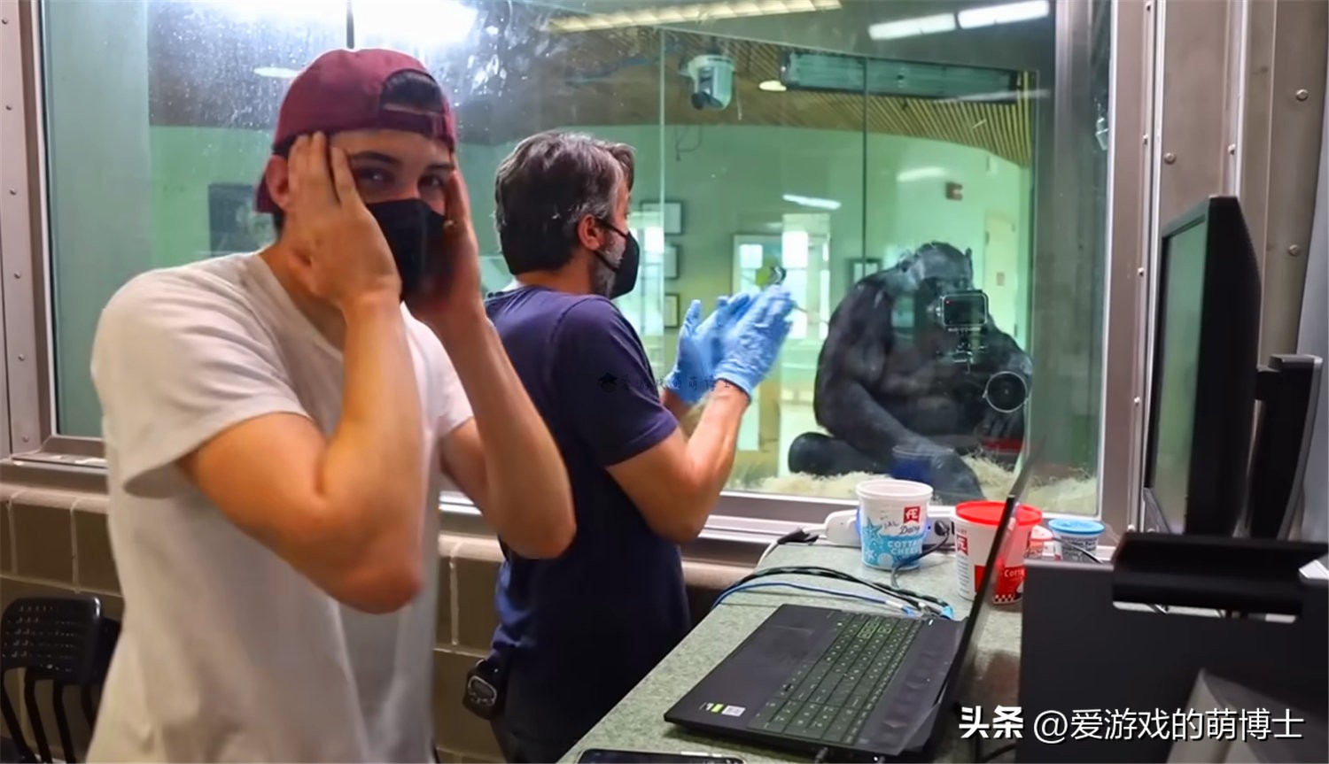 Maybe your teammates aren't human? Chimpanzee learns to play Minecraft ...