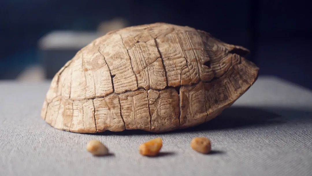 At the Guangzhou Maritime Museum: then play music, then dance - iNEWS