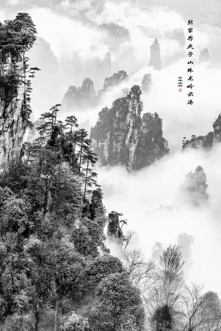 Landscape paintings of Zhangjiajie and Tianzi Mountain in ink and wash ...