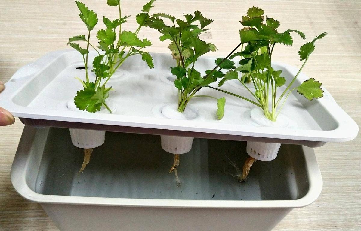 Lazy 10-square-meter balcony builds a smart hydroponic planting box ...