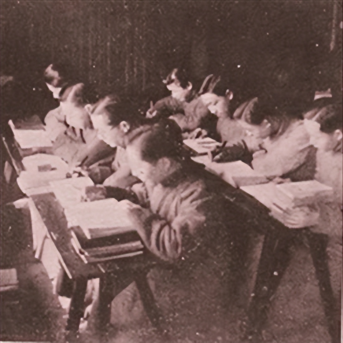 Liu Qingshan was executed for corruption in 1952, and the three ...