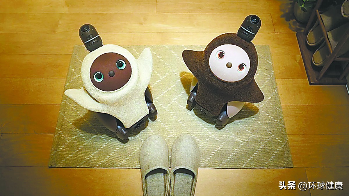 Japanese popular pet robot accompany life - iMedia