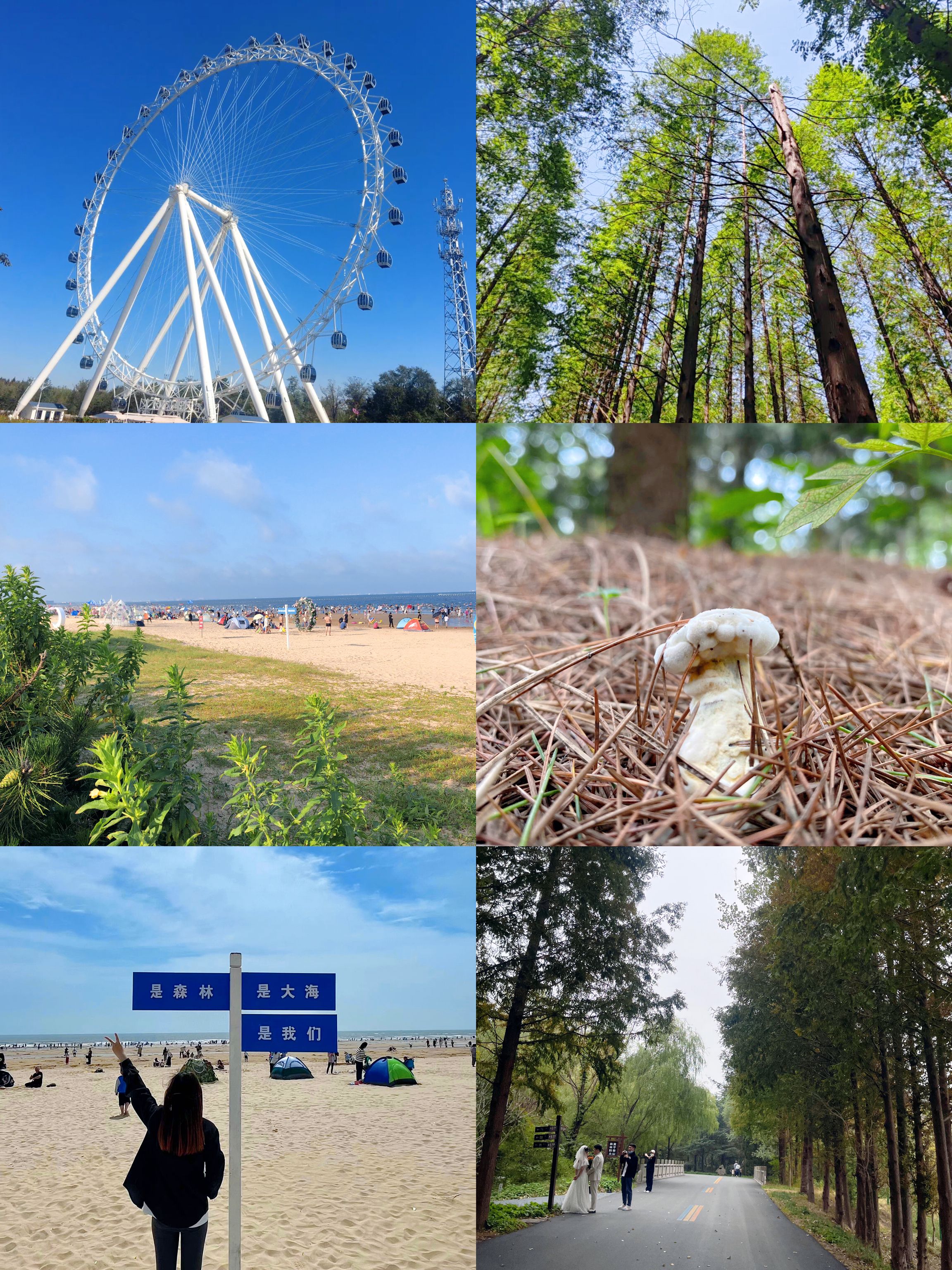 Rizhao travel strategy, a summer travel strategy that is simply divine ...