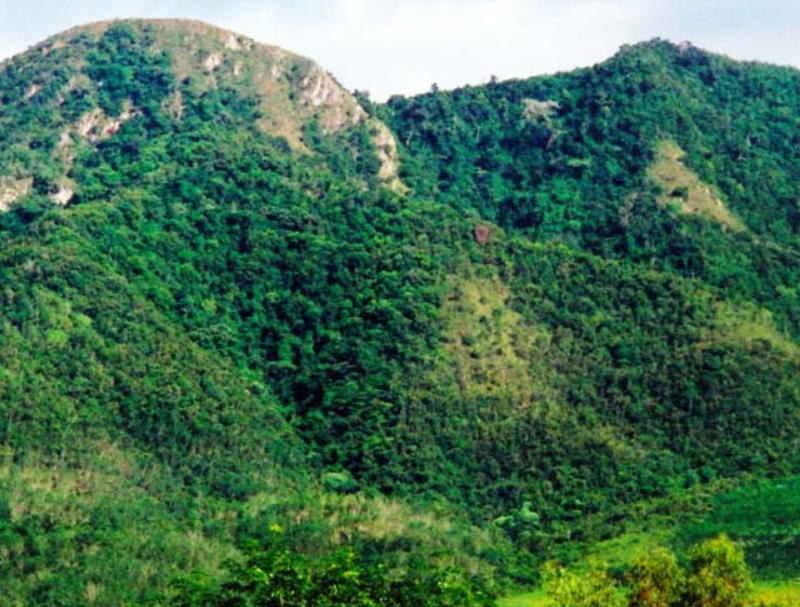 A mountain in Hainan resembles a great man, Kong Linghua knelt down and ...