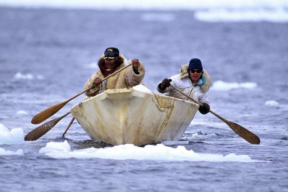 Living in an igloo, eating raw polar bears, the wild life of the Inuit ...