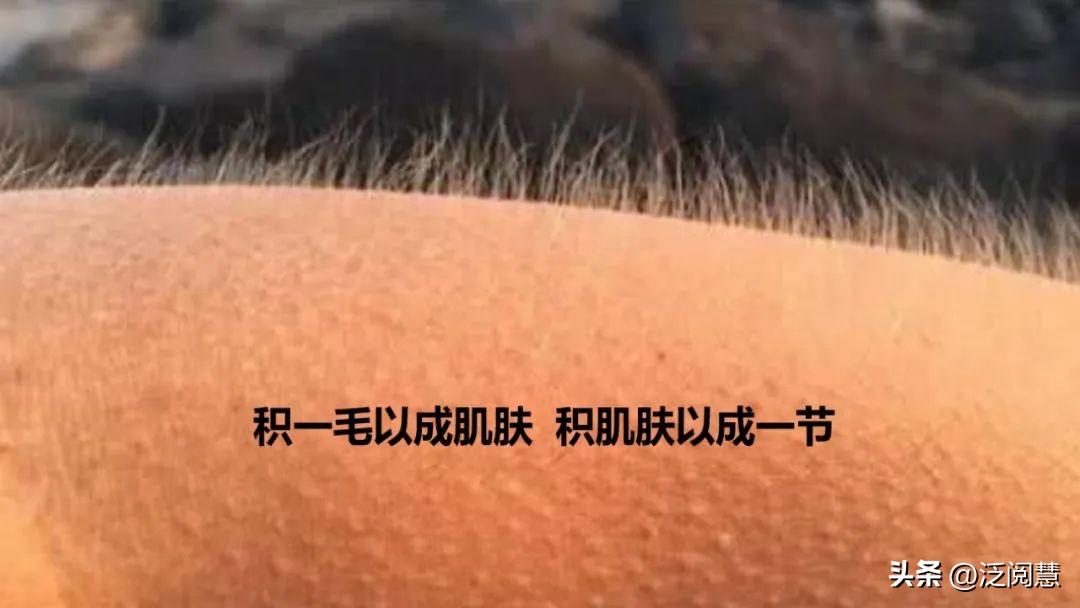 The Wisdom Story of "Liezi": Yang Zhu's Life Values (2) Behind the ...