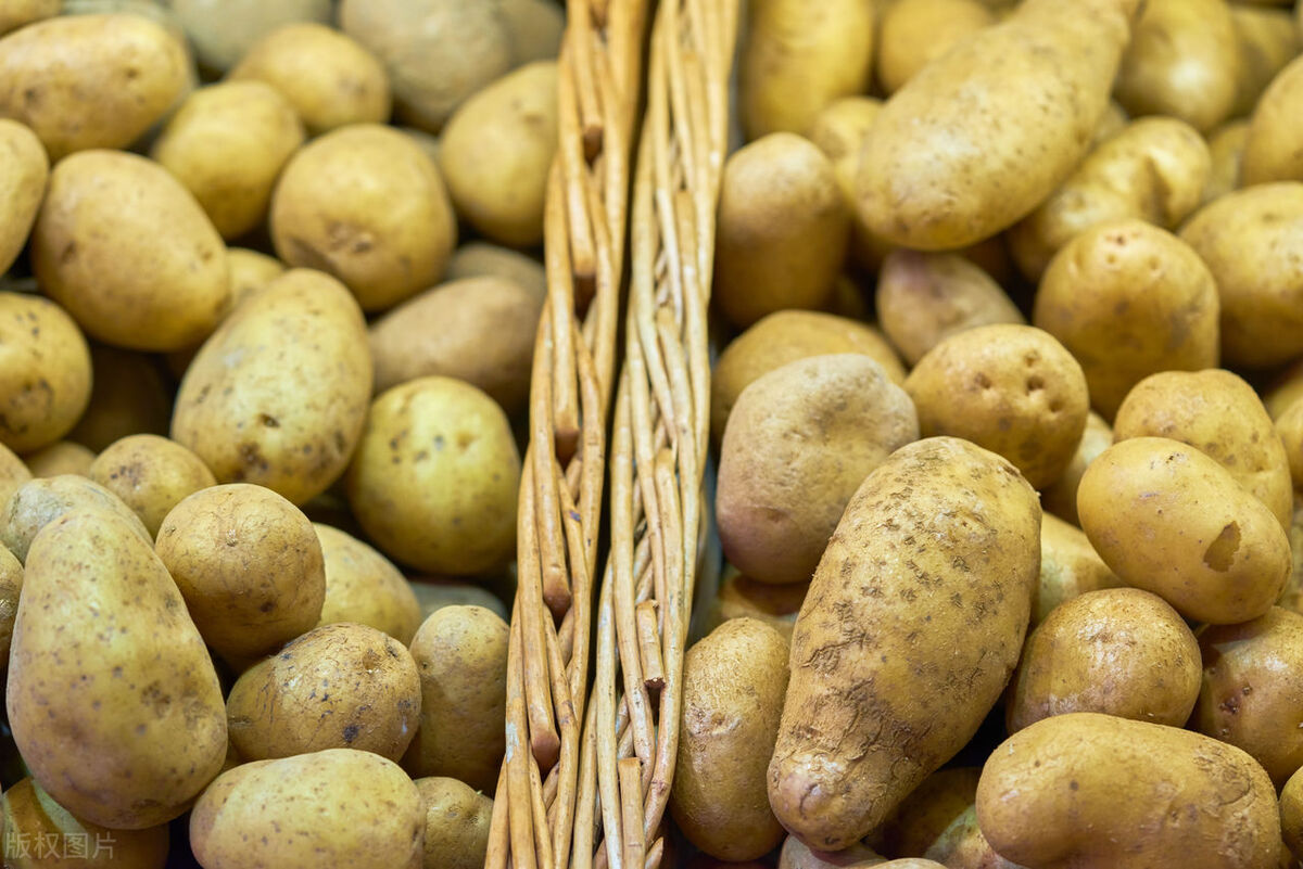 Top 10 potato producing countries in the world - iMedia