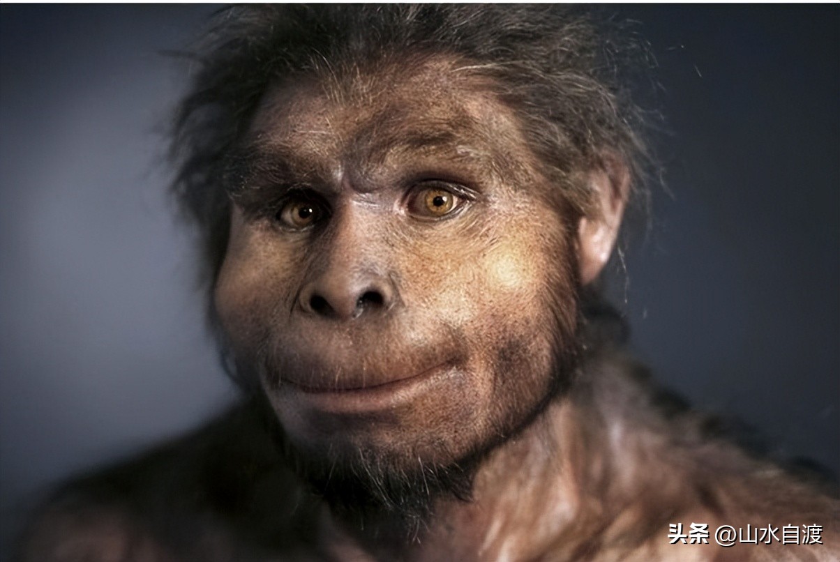 Why did humans lose hair during evolution? - iNEWS