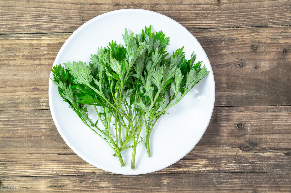 Hemostatic: Artemisia argyi - iNEWS